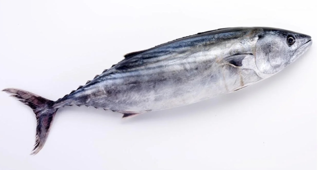 MELVA EN SALSA MARINERA - Pescados y mariscos - Blog de CARMEN GONZALEZ ...